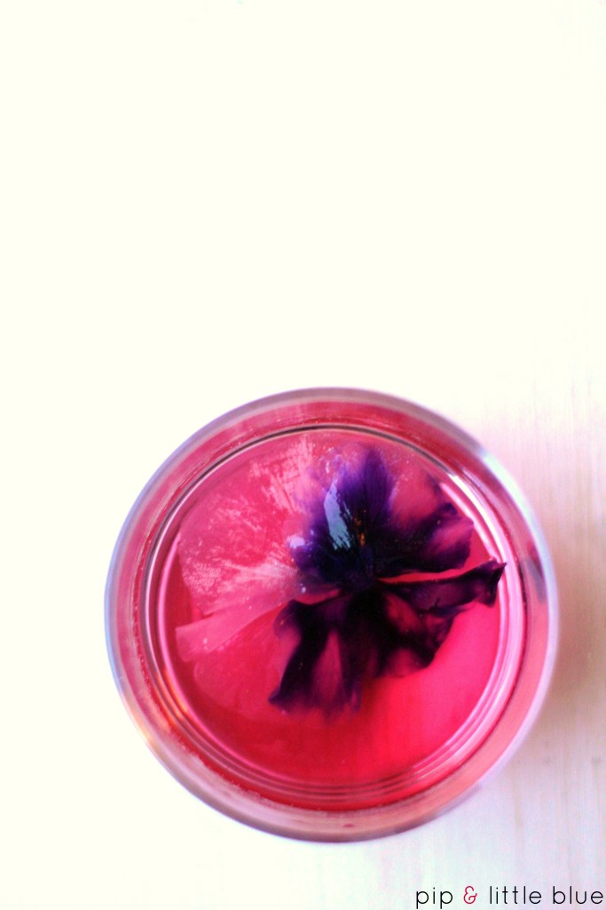 Raspberry gin | pip & little blue