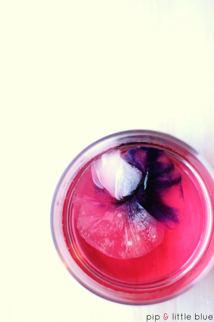 Raspberry gin | pip & little blue